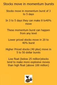 Stockbee’s Momentum Burst - Qullamaggie